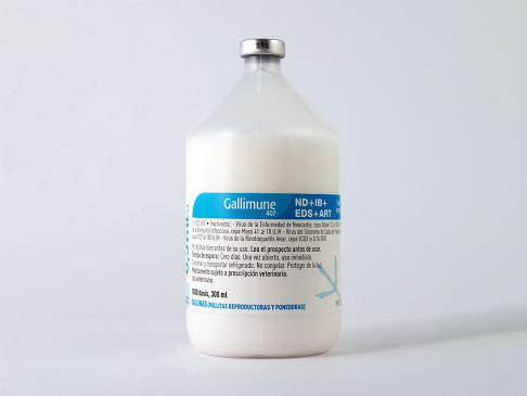 Gallimune 407® es una vacuna inactivada frente a la Enfermedad de ...